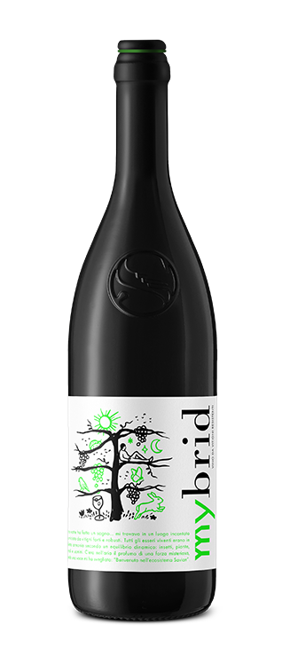 Mybrid IGT Veneto Savian Vini